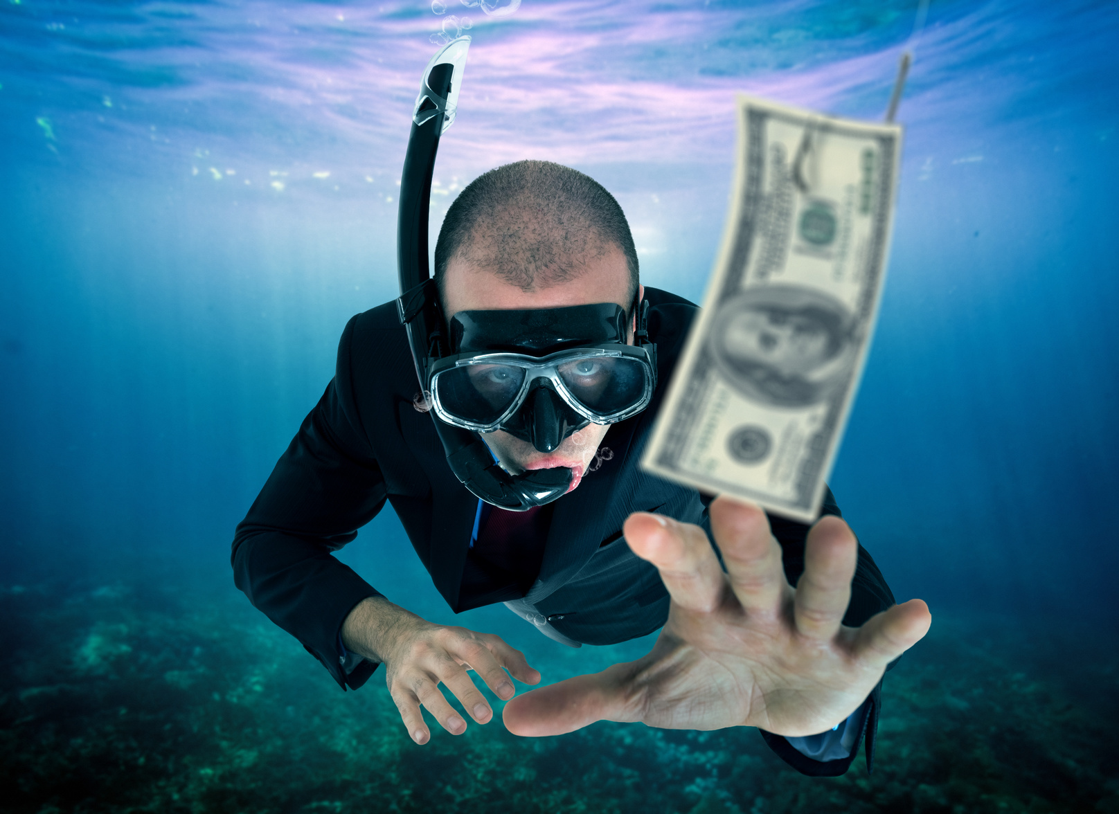 How To Spot A Ponzi Scheme. Don't Be A Victim! | ImbaLife